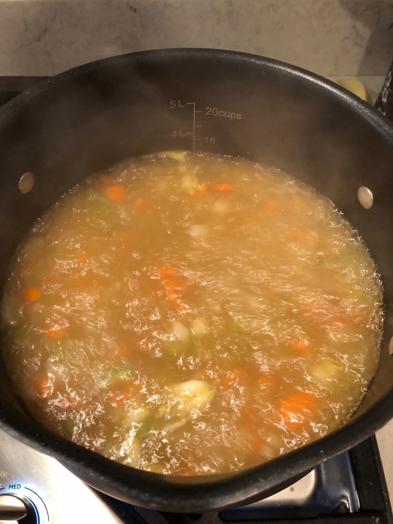 Floater Matzo Ball Soup - Sami Homemaker